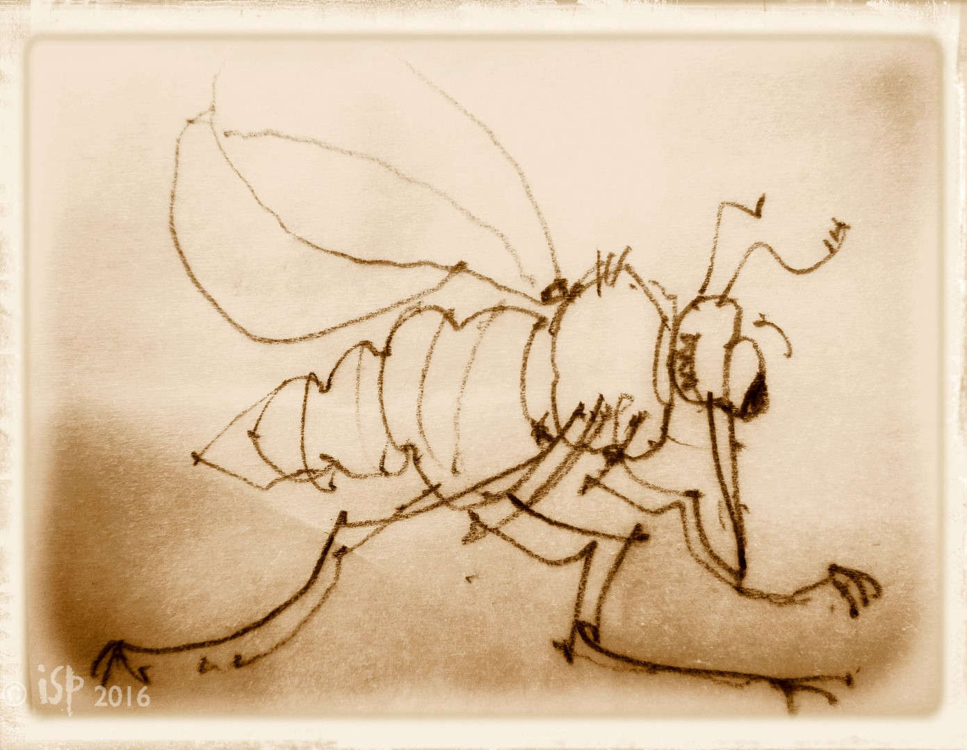 The Highland Midge (fridge) Magnet – Little Worlds of Art